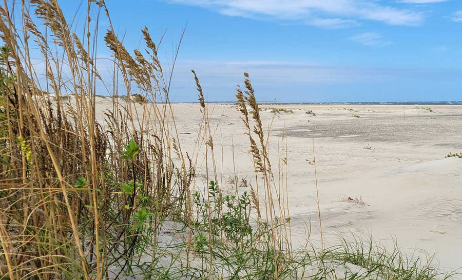 The Future of the Outer Banks NC - A Look into the Future – OBX Stuff