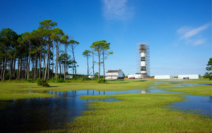 Outer Banks Beachcombers Guide To Finding Sea Shells | OBX Stuff